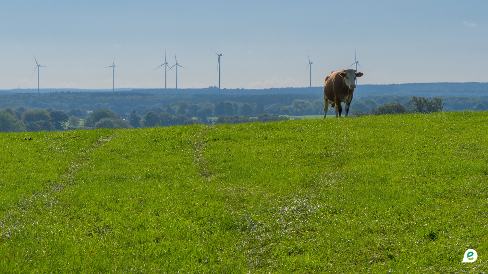 Die Gemeinde Raeren erteilt ENGIE eine Konzession für 5 ...